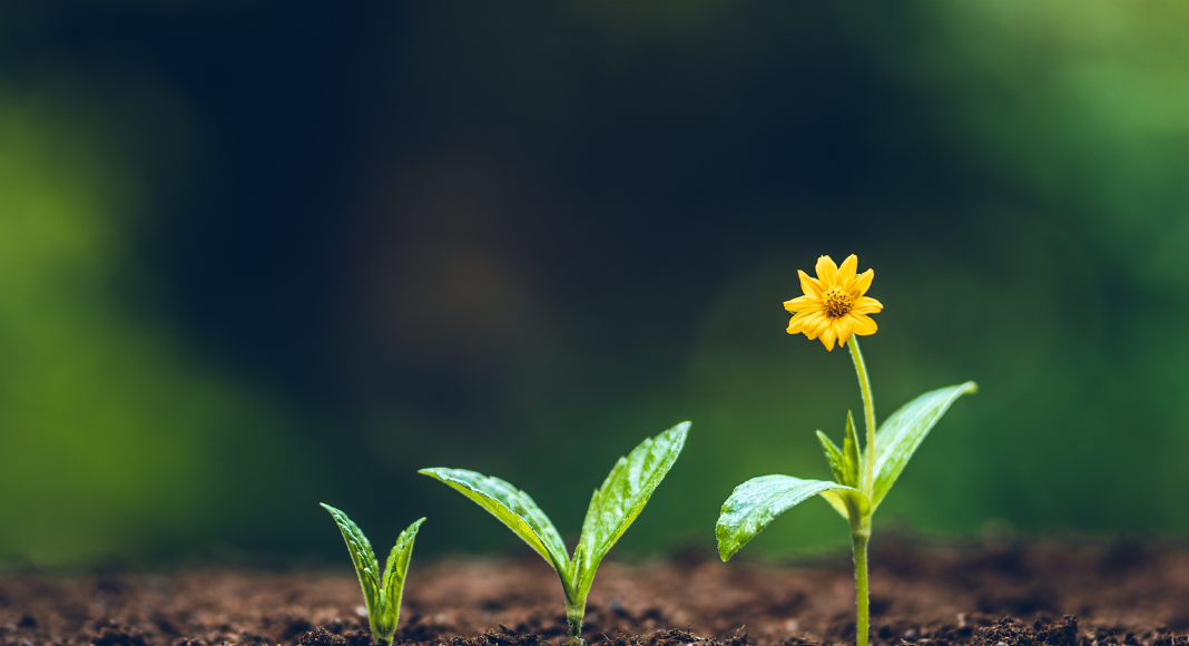 Motherhood: Ever Changing, Growing, or Shrinking