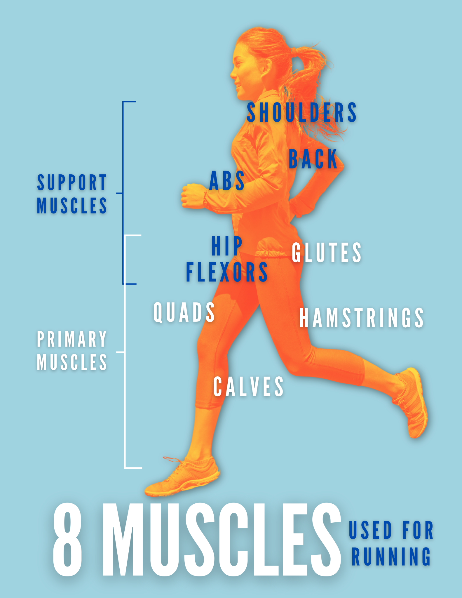 Training for a Marathon: 12 Essential Stretches and 6 Strength Exercises