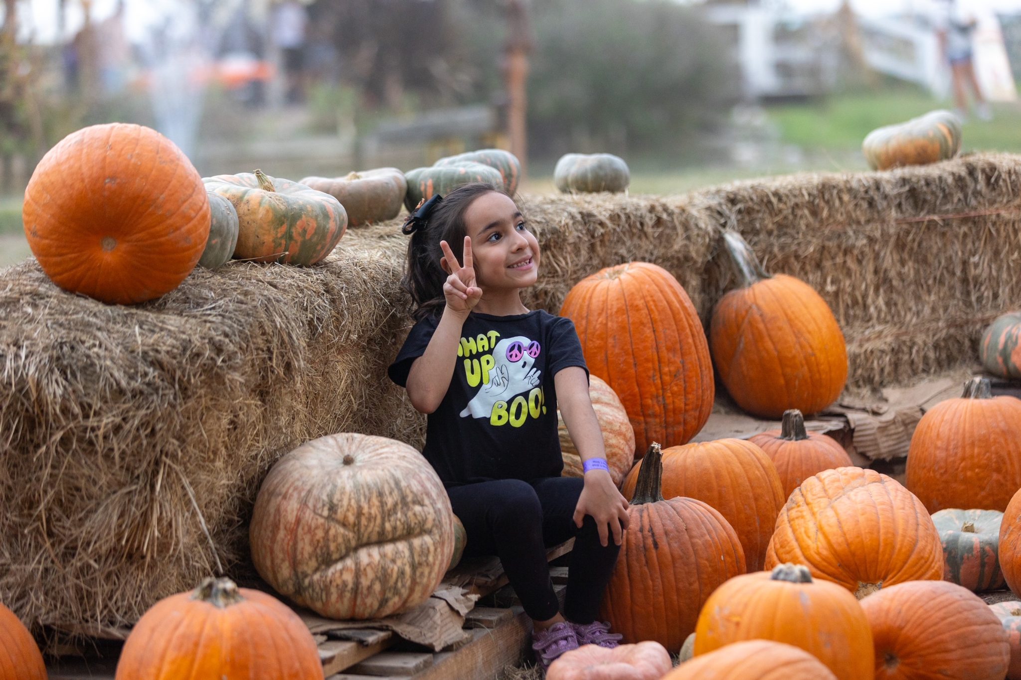 Houston Area Guide to Pumpkin Patches and Fall Festivals