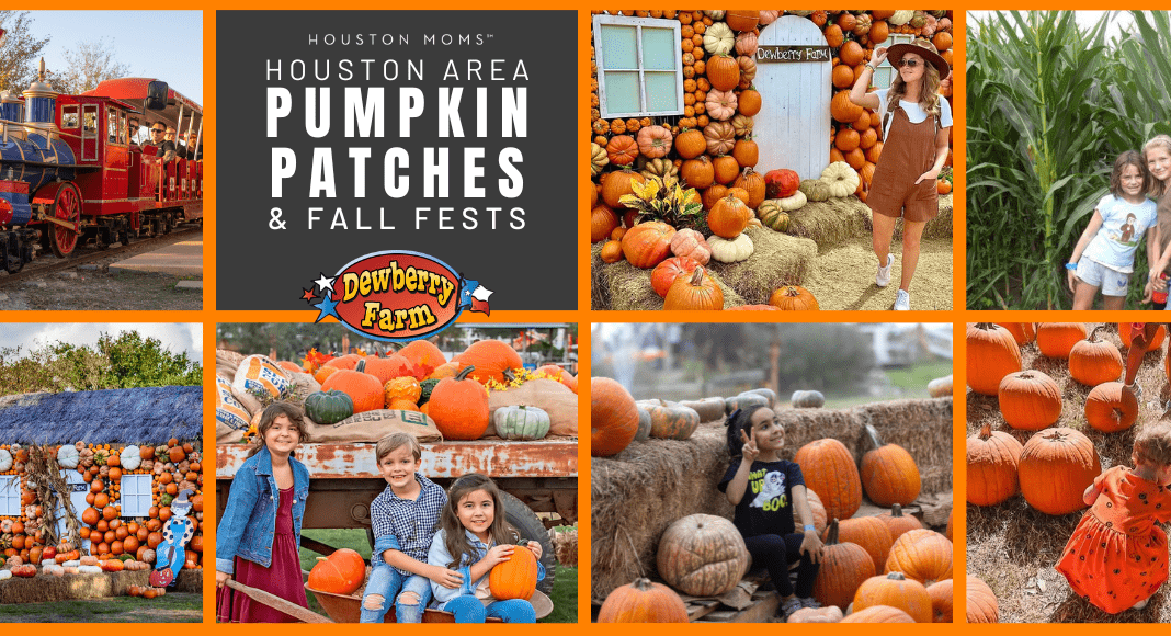 Houston Area Guide to Pumpkin Patches and Fall Festivals