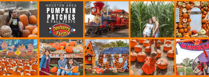 Houston Area Guide to Pumpkin Patches and Fall Festivals